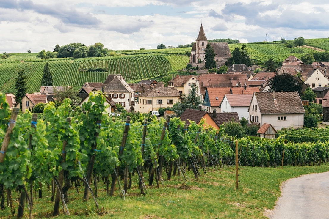Vini Pregiati Francesi: Come e Quali Scegliere - La Guida Definitiva